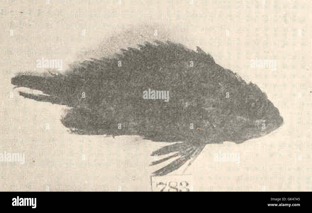 Seale Map High Resolution Stock Photography and Images - Alamy