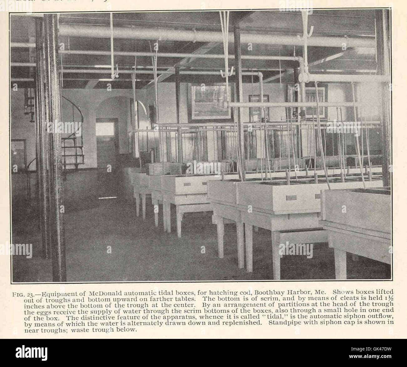 47522 Equipment of McDonald automatic tidal boxes, for hatching cod ...