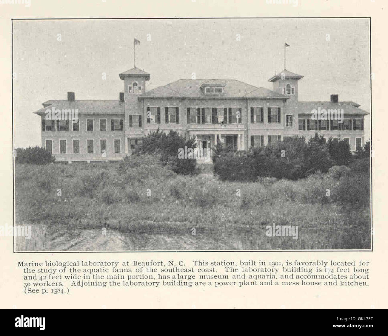 The Marine Biological Laboratory at Beaufort, North Carolina ...