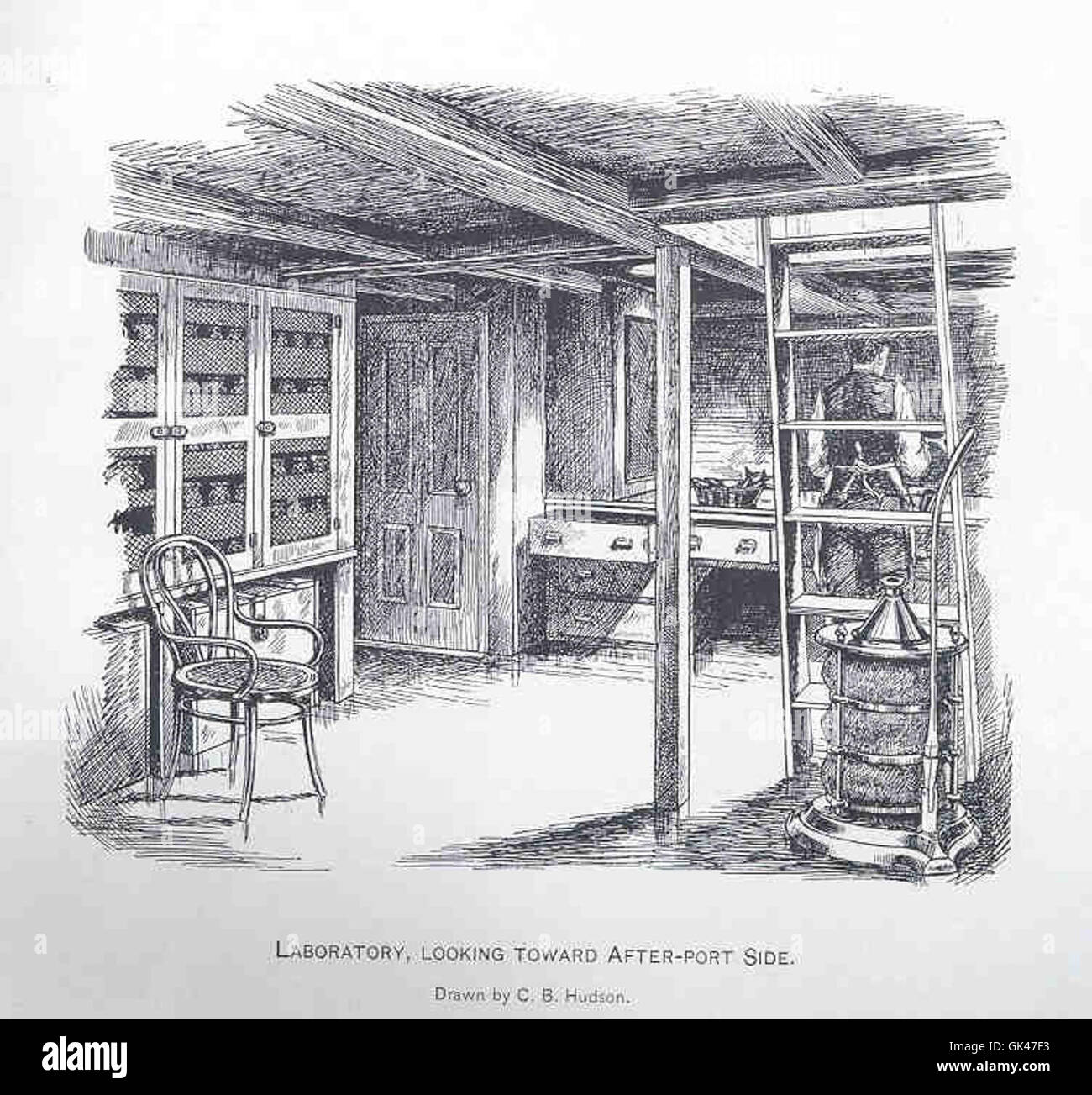 Distinctive bulbous head hi-res stock photography and images - Alamy