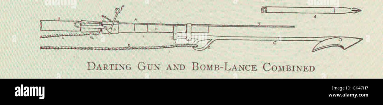 20 inches hi-res stock photography and images - Alamy