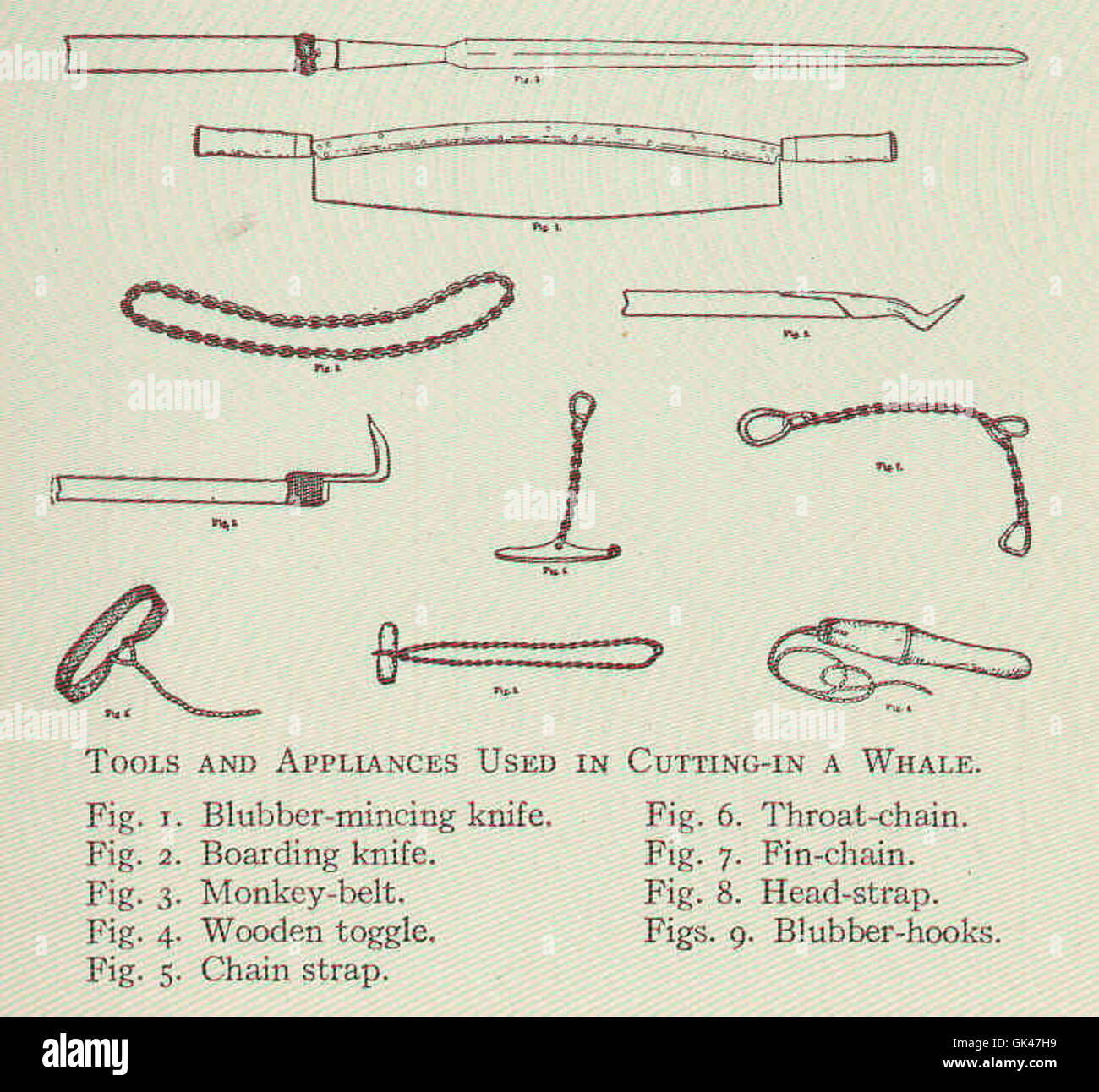 This image depicts various tools and appliances used in the whale ...
