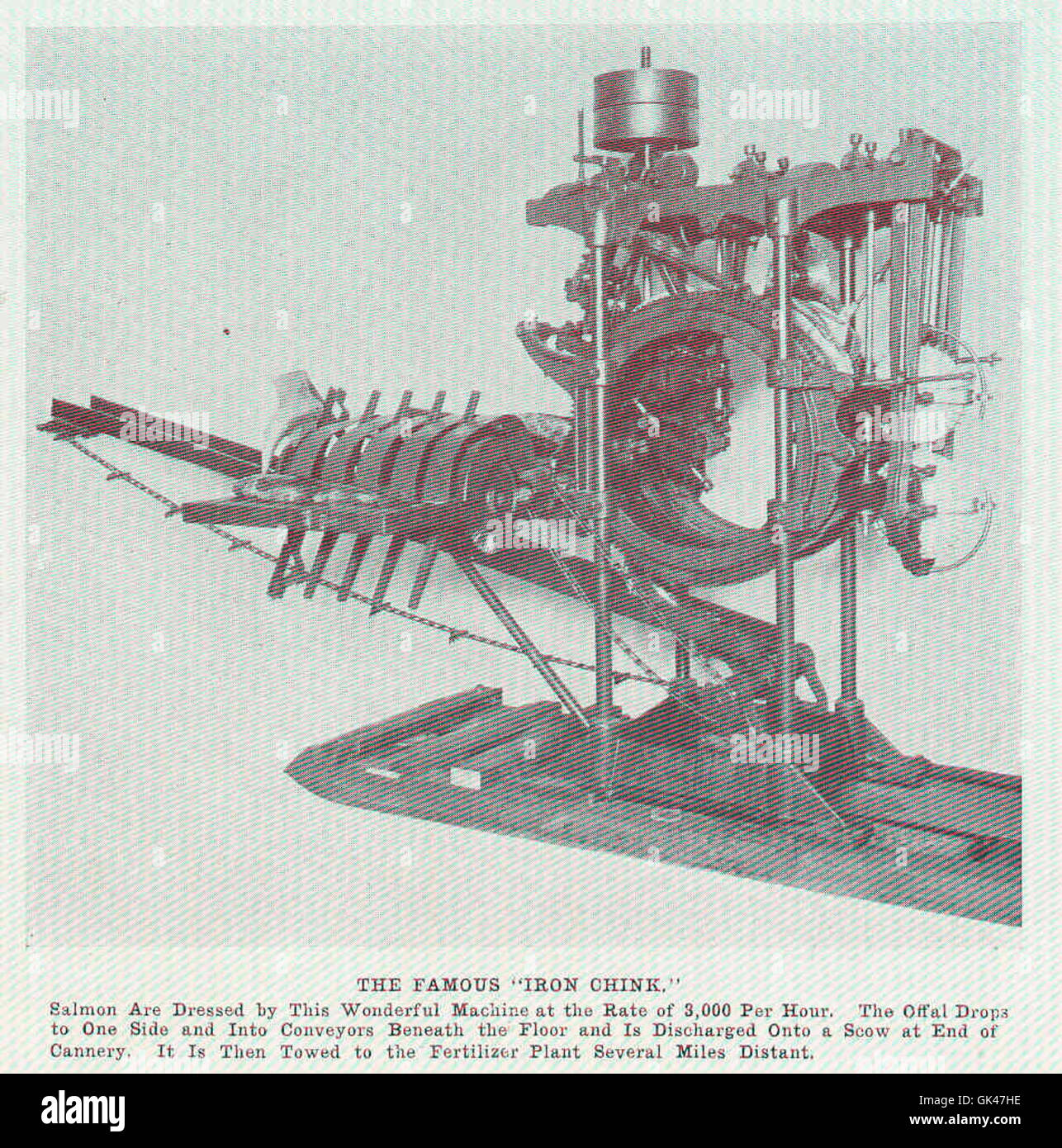 The Iron Chink is a machine used in the fish processing industry to ...