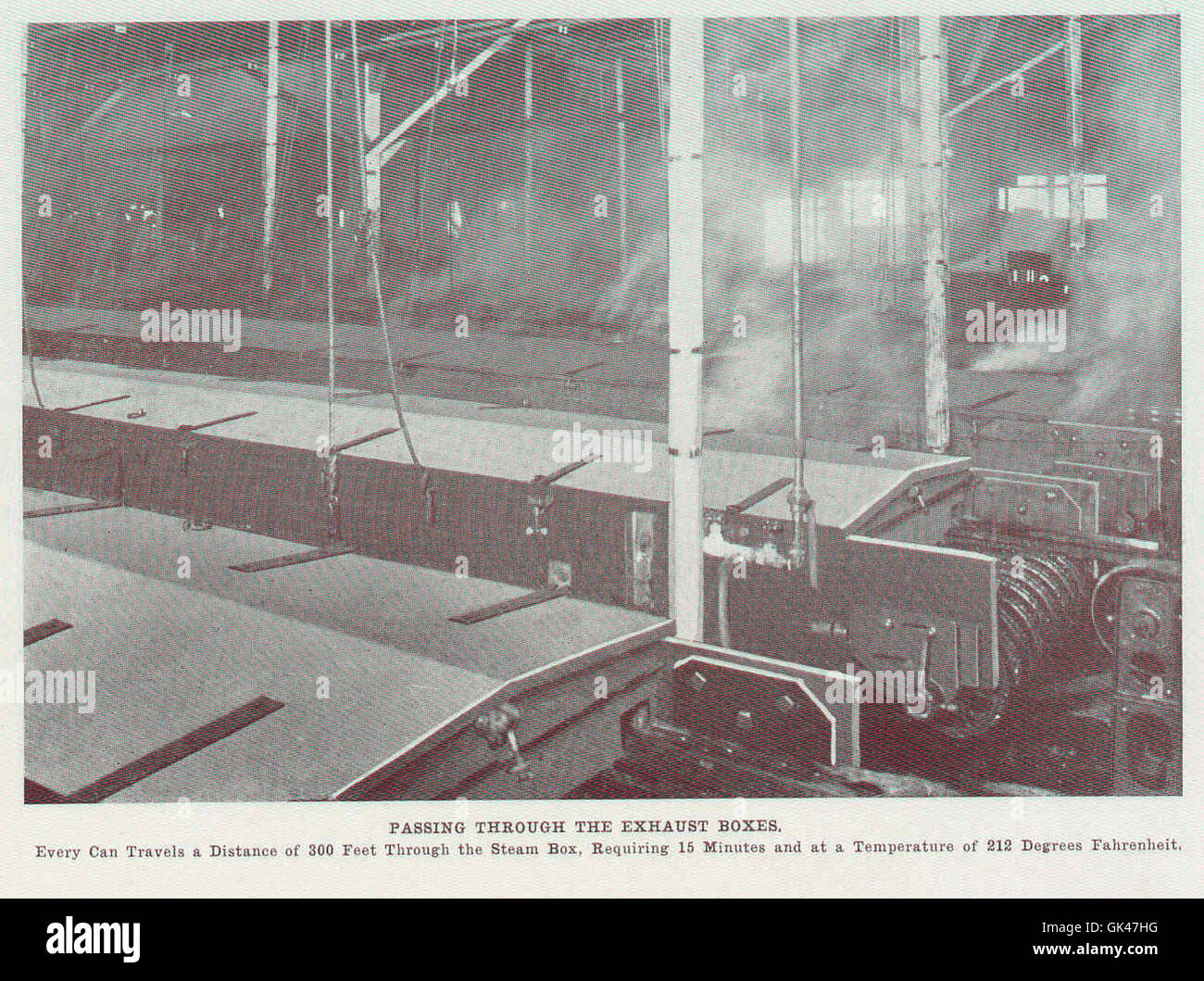 The image depicts cans traveling through a steam box system. Each can ...