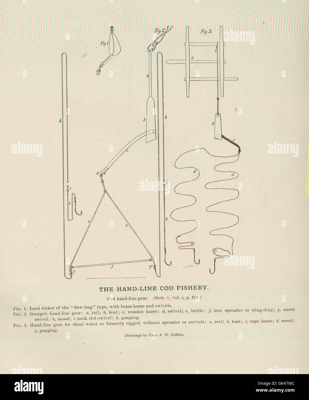 The hand-line cod fishery is a traditional fishing method where ...