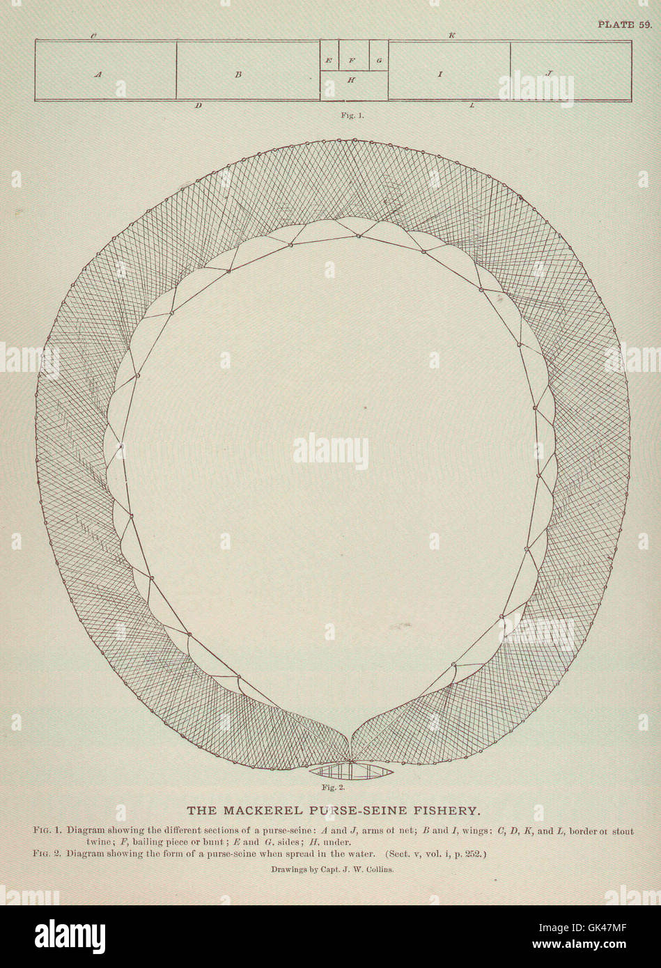 The mackerel purse-seine fishery uses a large net, or purse seine, to ...