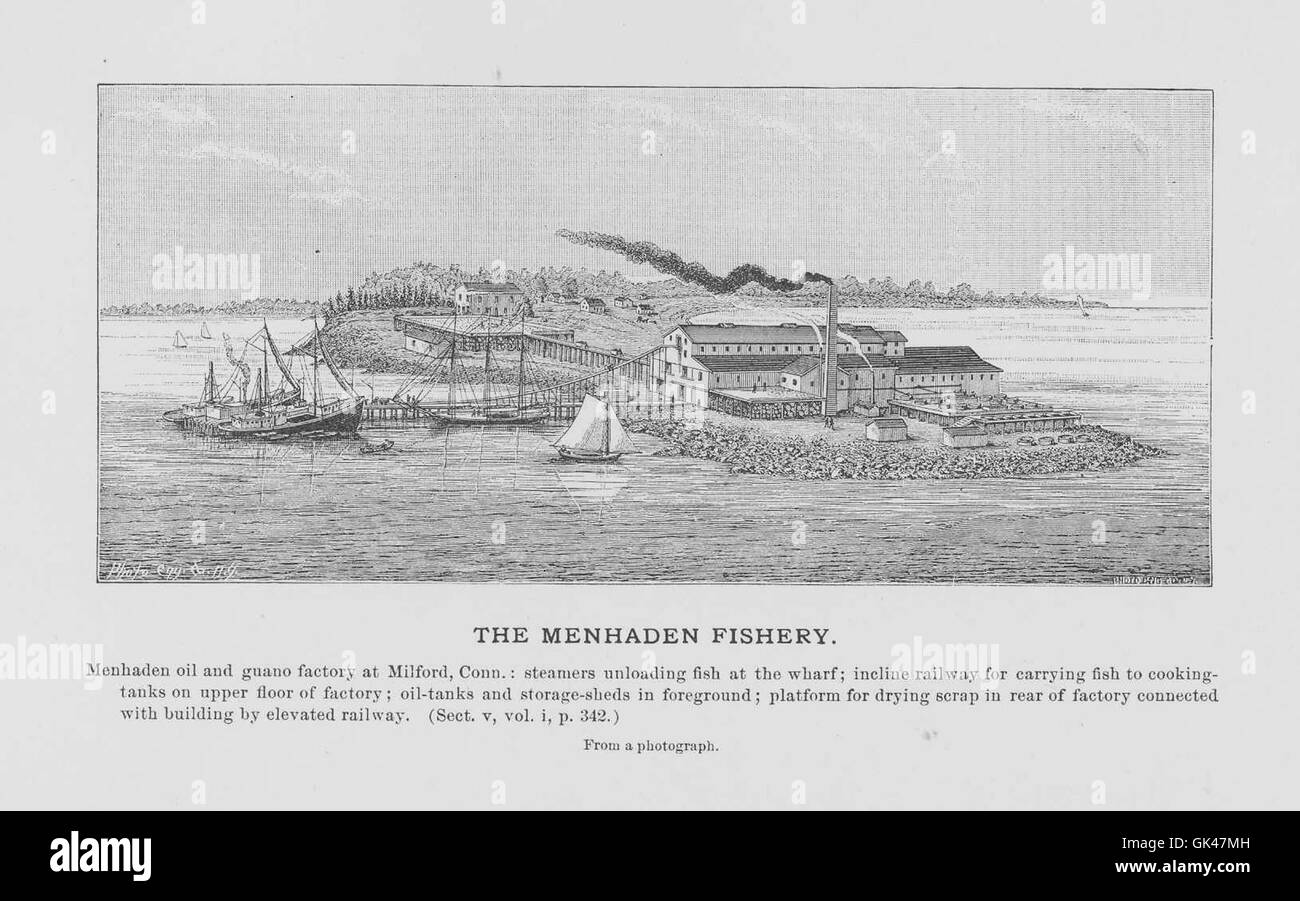 The menhaden fishery is a significant industry focused on harvesting ...