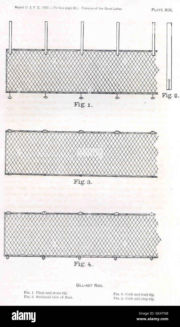Gill-net rigs are used in fishing to capture fish by entangling them in ...