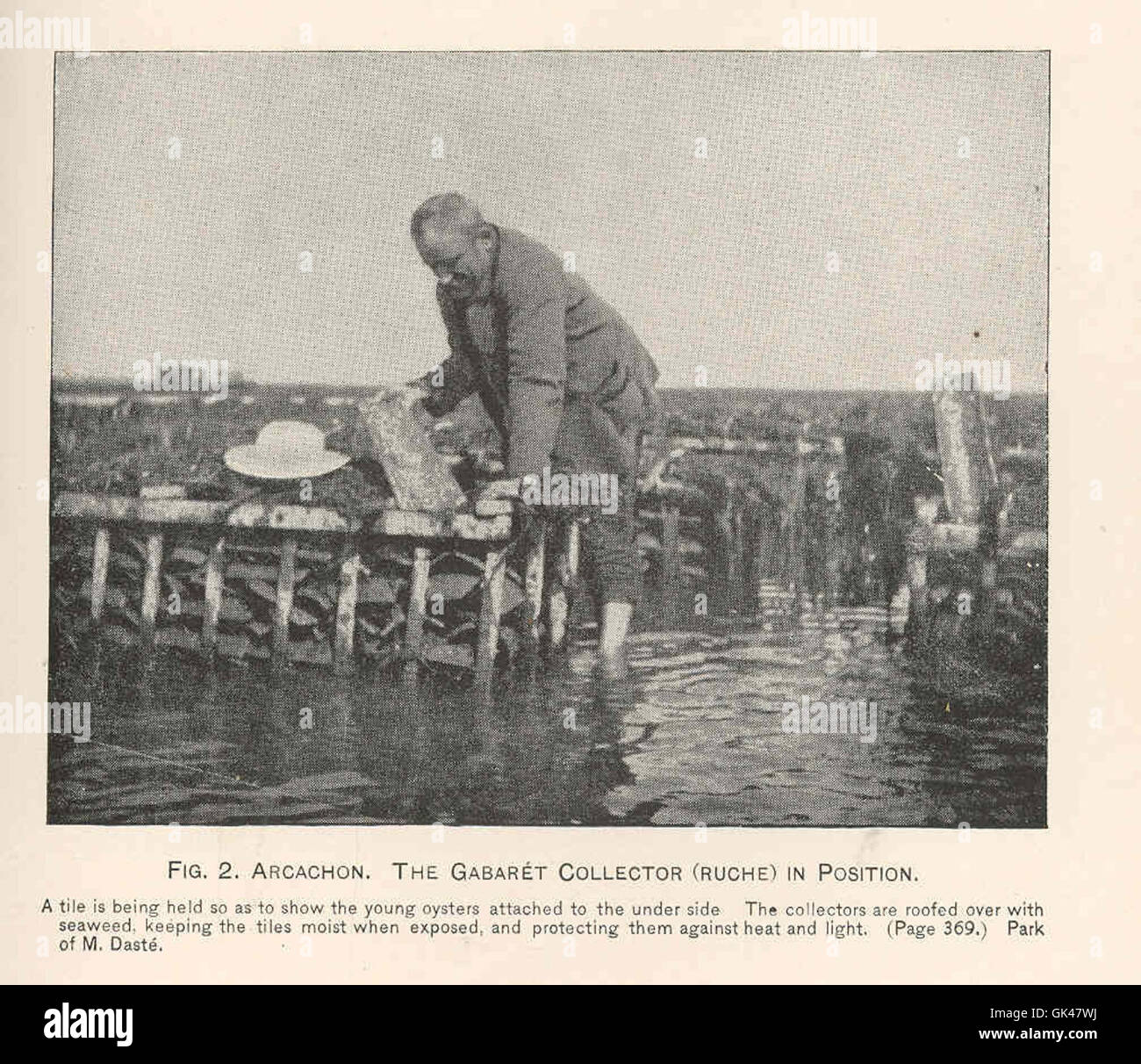 The Gabaret Collector (Ruche) is a type of fishing apparatus used in ...