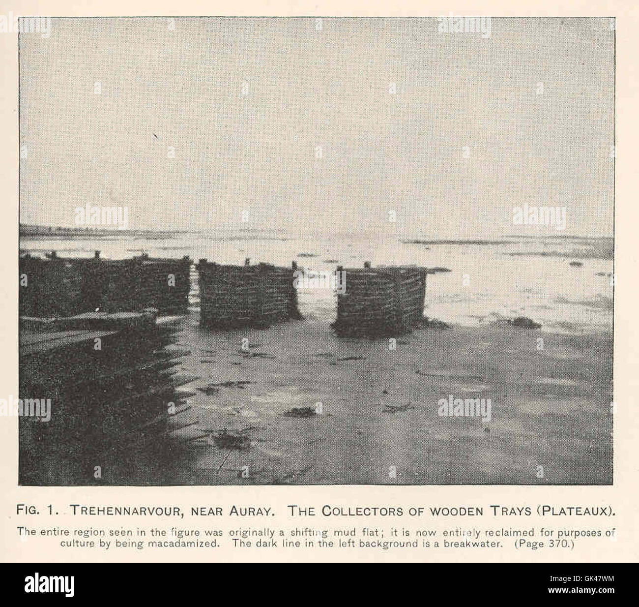 47819 Trehennarvour, Near Auray The Collectors of Wooden Trays ...