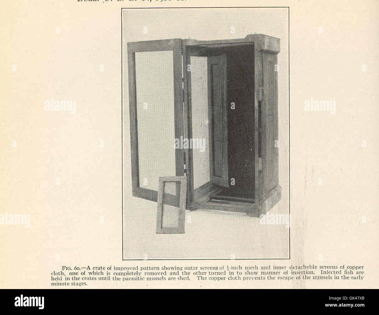 This image shows a crate designed for fishing or seafood processing ...