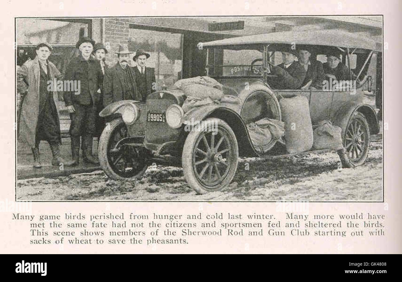 The hunger game cover hi-res stock photography and images - Alamy