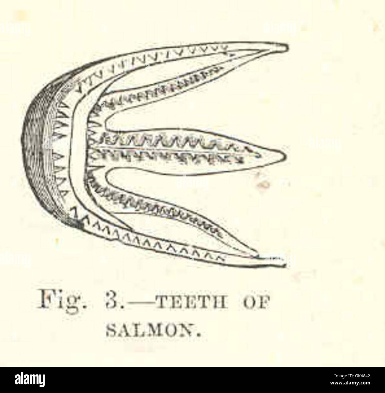 47968 hi-res stock photography and images - Alamy