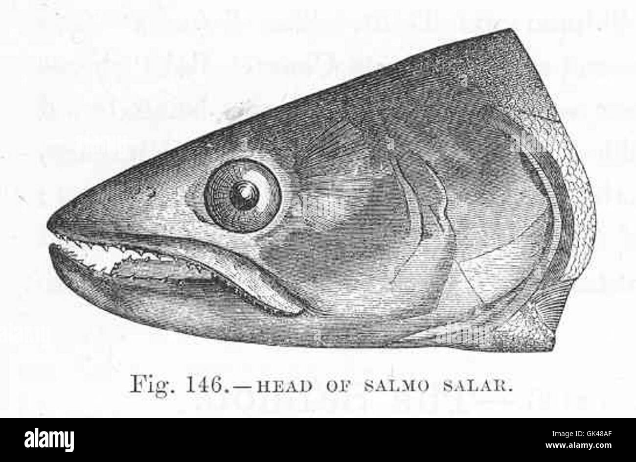 Salmo map hi-res stock photography and images - Alamy