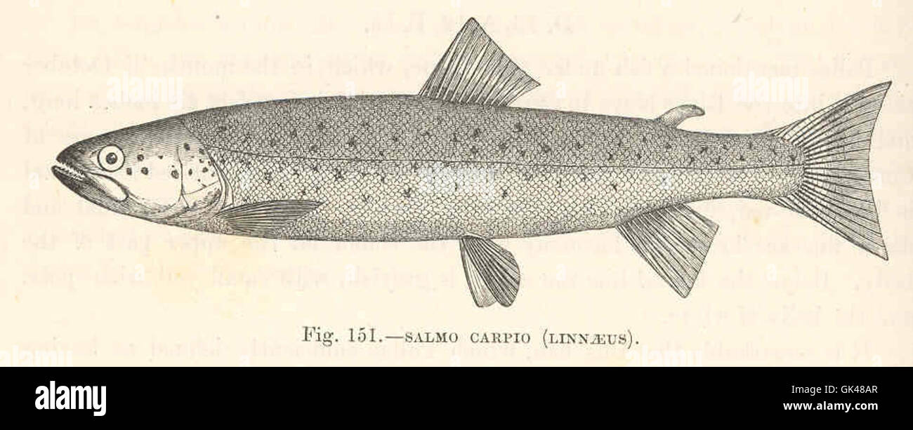 Salmo map hi-res stock photography and images - Alamy