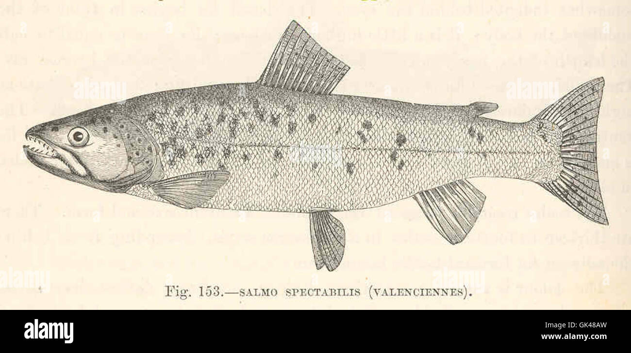 Salmo map hi-res stock photography and images - Alamy