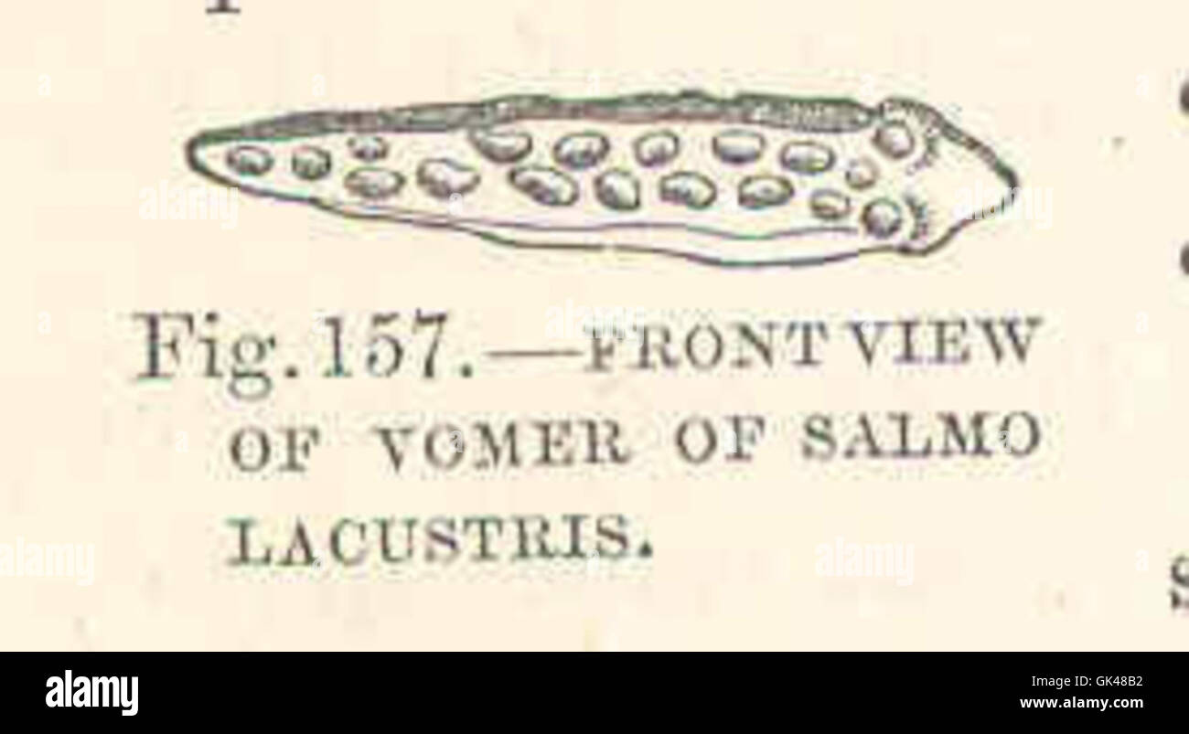 Salmo map hi-res stock photography and images - Alamy