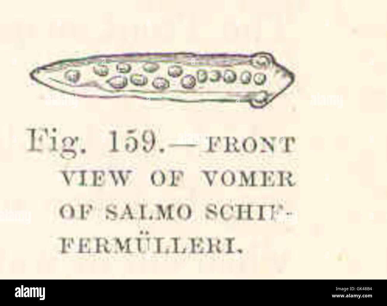 Salmo map hi-res stock photography and images - Alamy