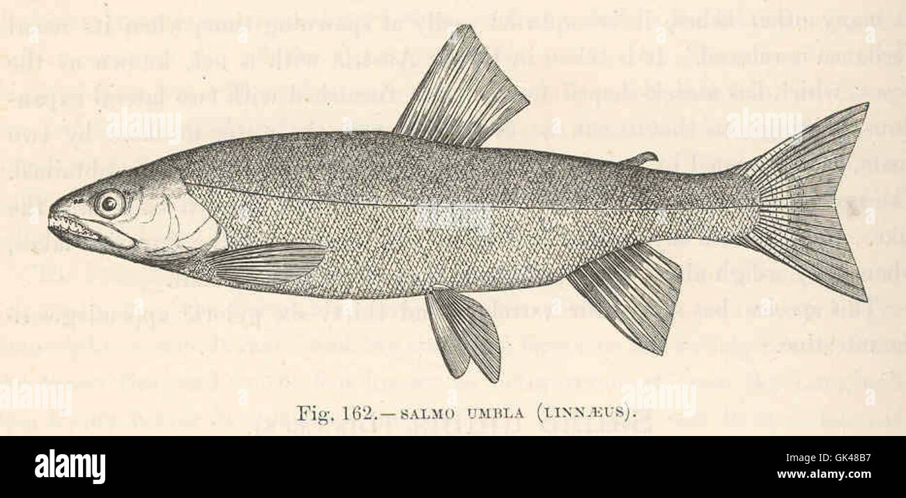 Salmo map hi-res stock photography and images - Alamy