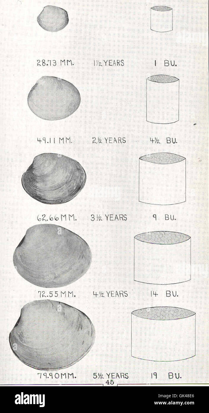 Monomoy point hi-res stock photography and images - Alamy