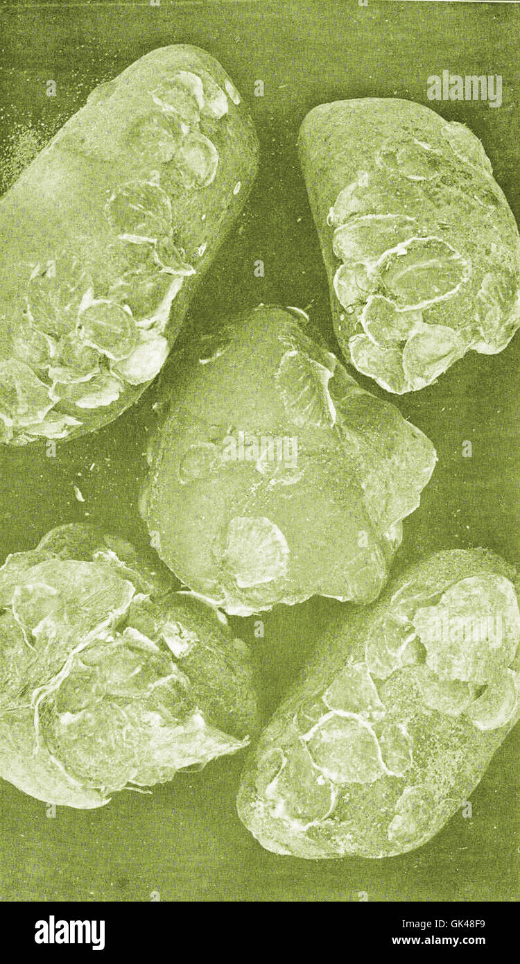 Image shows underwater environment hi-res stock photography and images ...