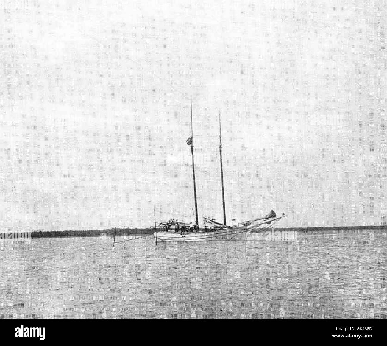 Shells in water Black and White Stock Photos & Images - Alamy