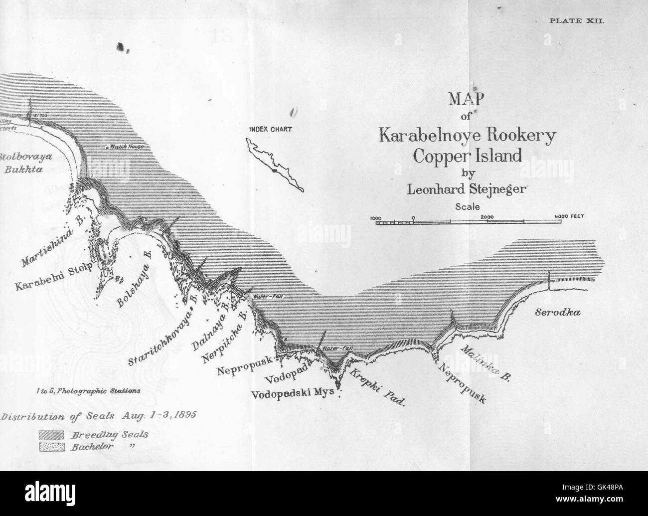 48384 Map of Karabelnoye Rookery Copper Island by Leonhard Stejneger ...