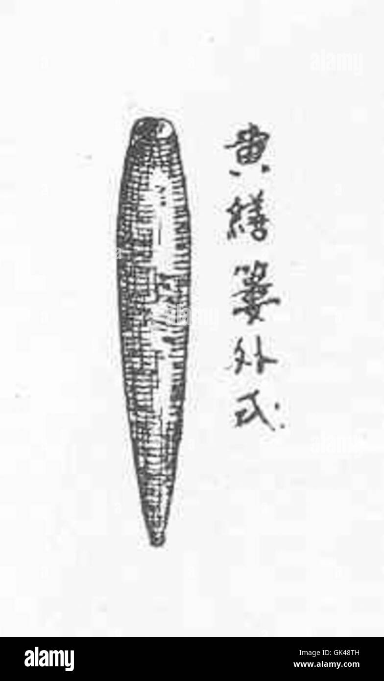 Chan chan map hi-res stock photography and images - Alamy