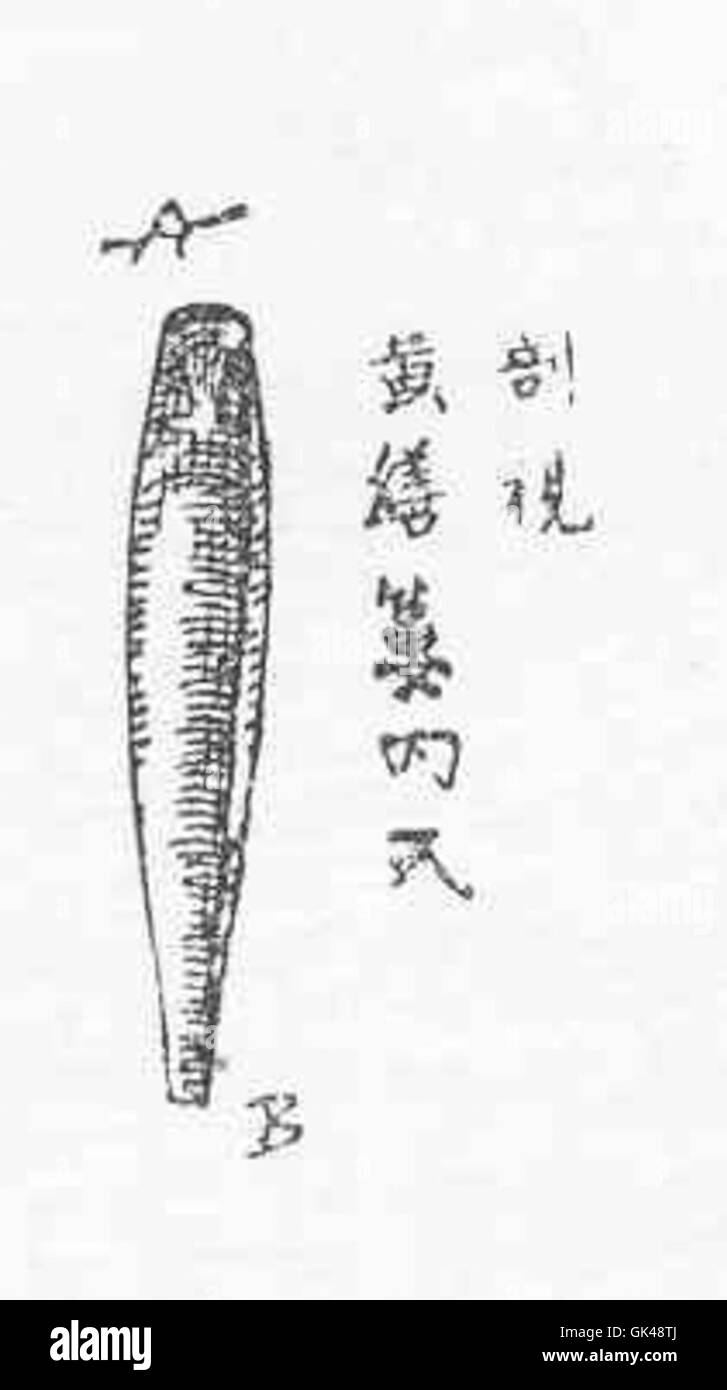 Name caption Cut Out Stock Images & Pictures - Alamy