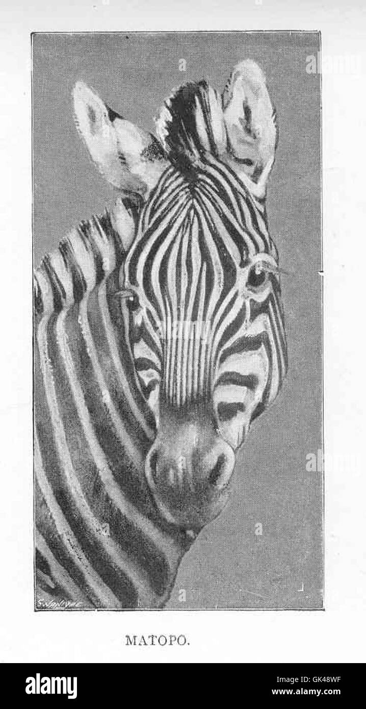 Matopo hi-res stock photography and images - Alamy