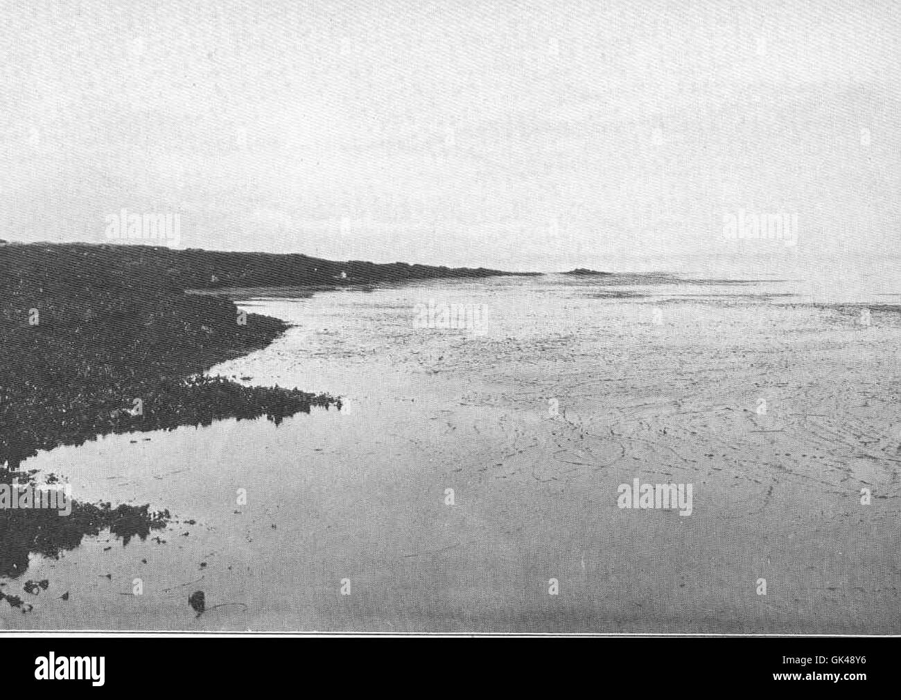 Shoreline intertidal zone Black and White Stock Photos & Images - Alamy