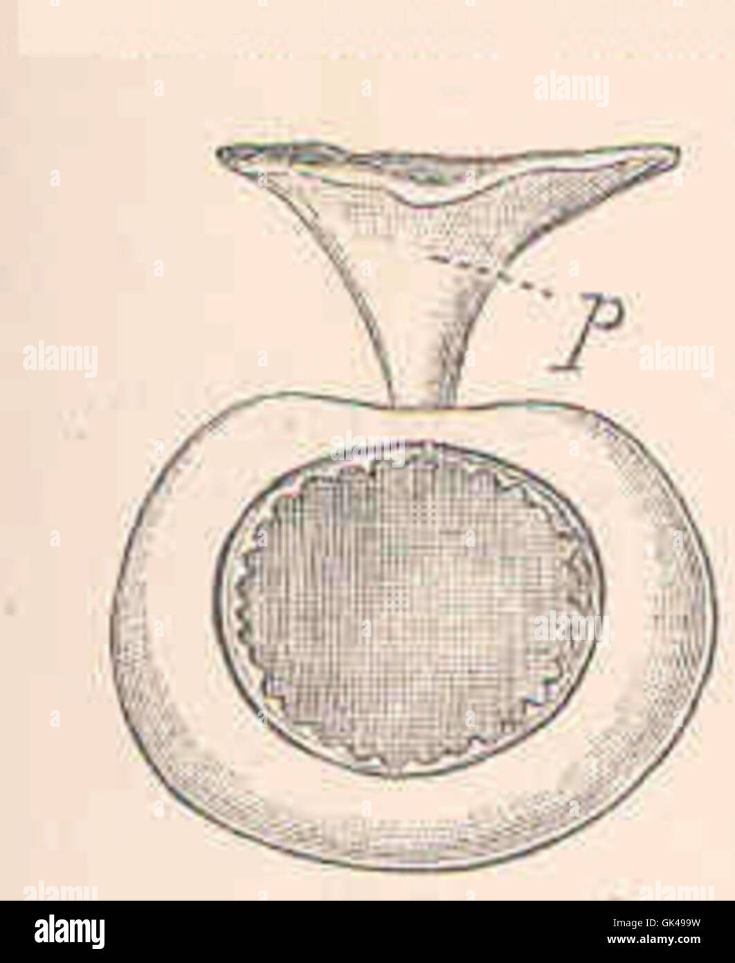 Dux font hi-res stock photography and images - Alamy