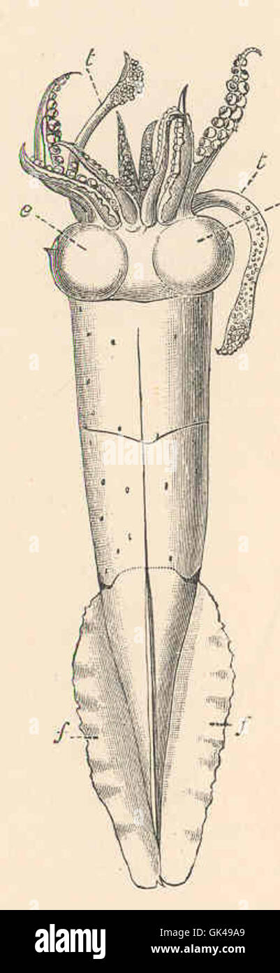 Stp font hi-res stock photography and images - Alamy