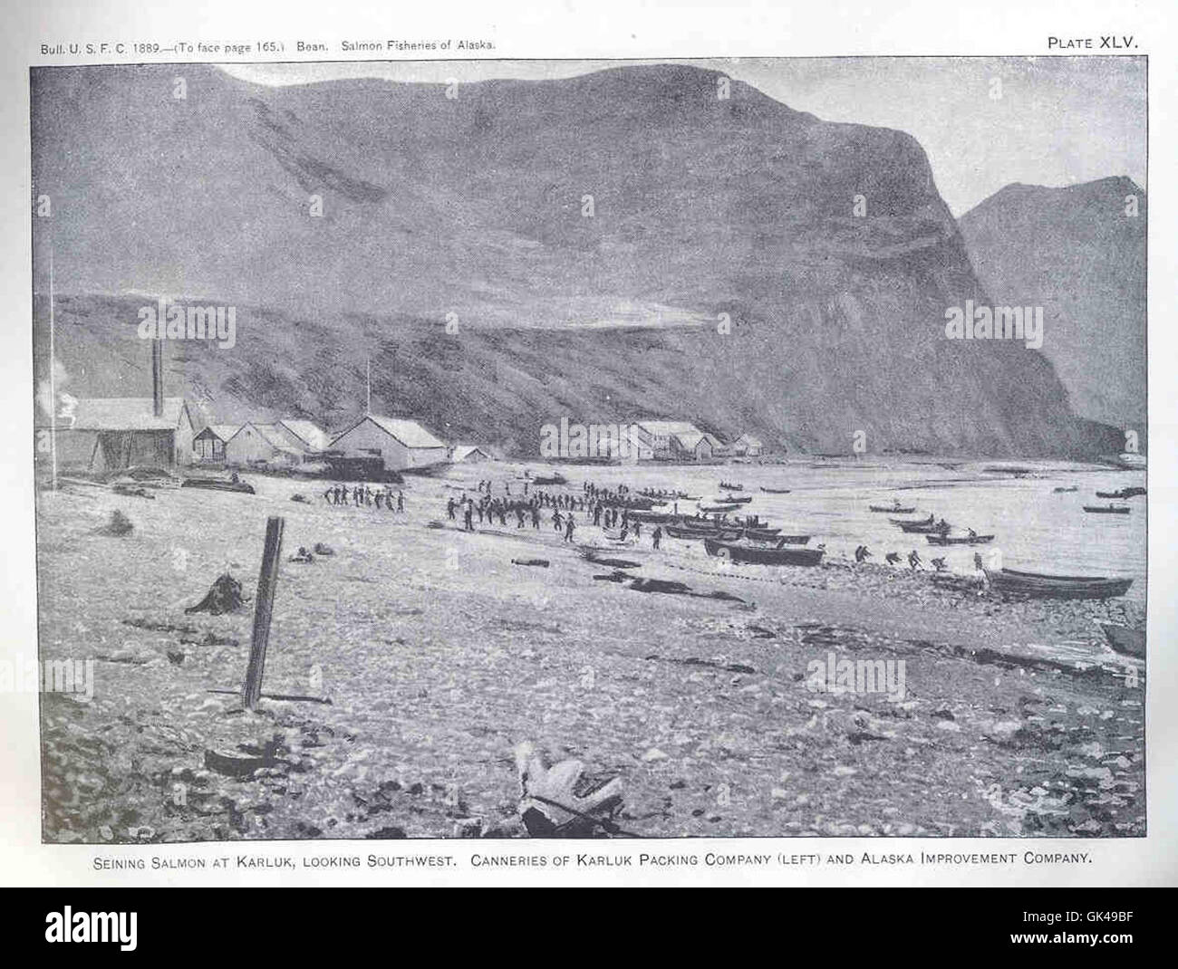Seining salmon at Karluk, Alaska, is a method of using large nets to ...