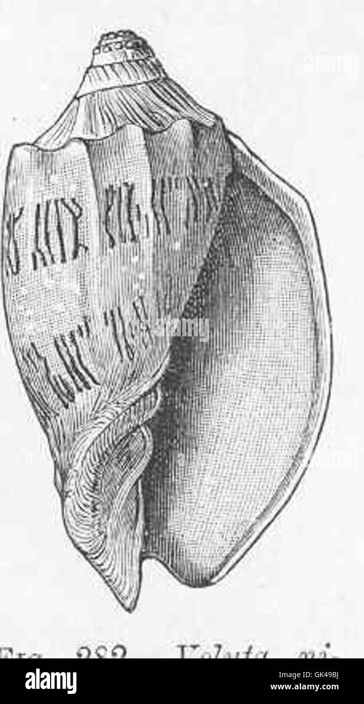 Lam font hi-res stock photography and images - Alamy