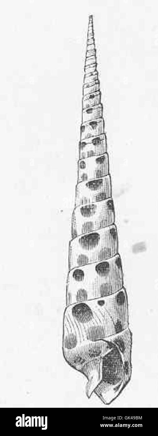 Sea coast indian ocean Cut Out Stock Images & Pictures - Alamy