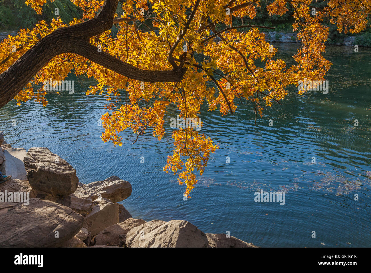 Autumn color beijing tourism hi-res stock photography and images - Alamy