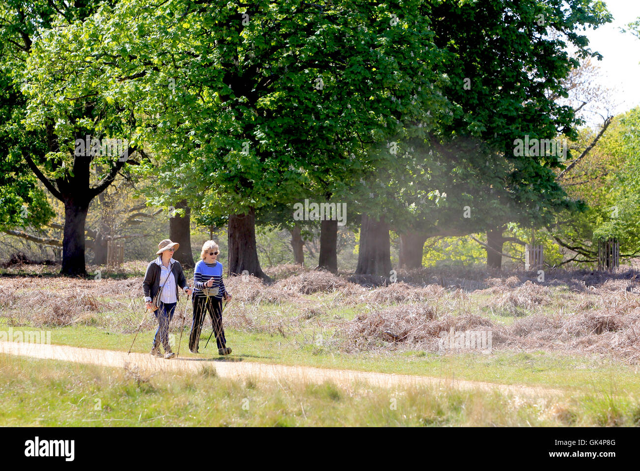 The temperatures finally start to climb on a spring morning and people ...