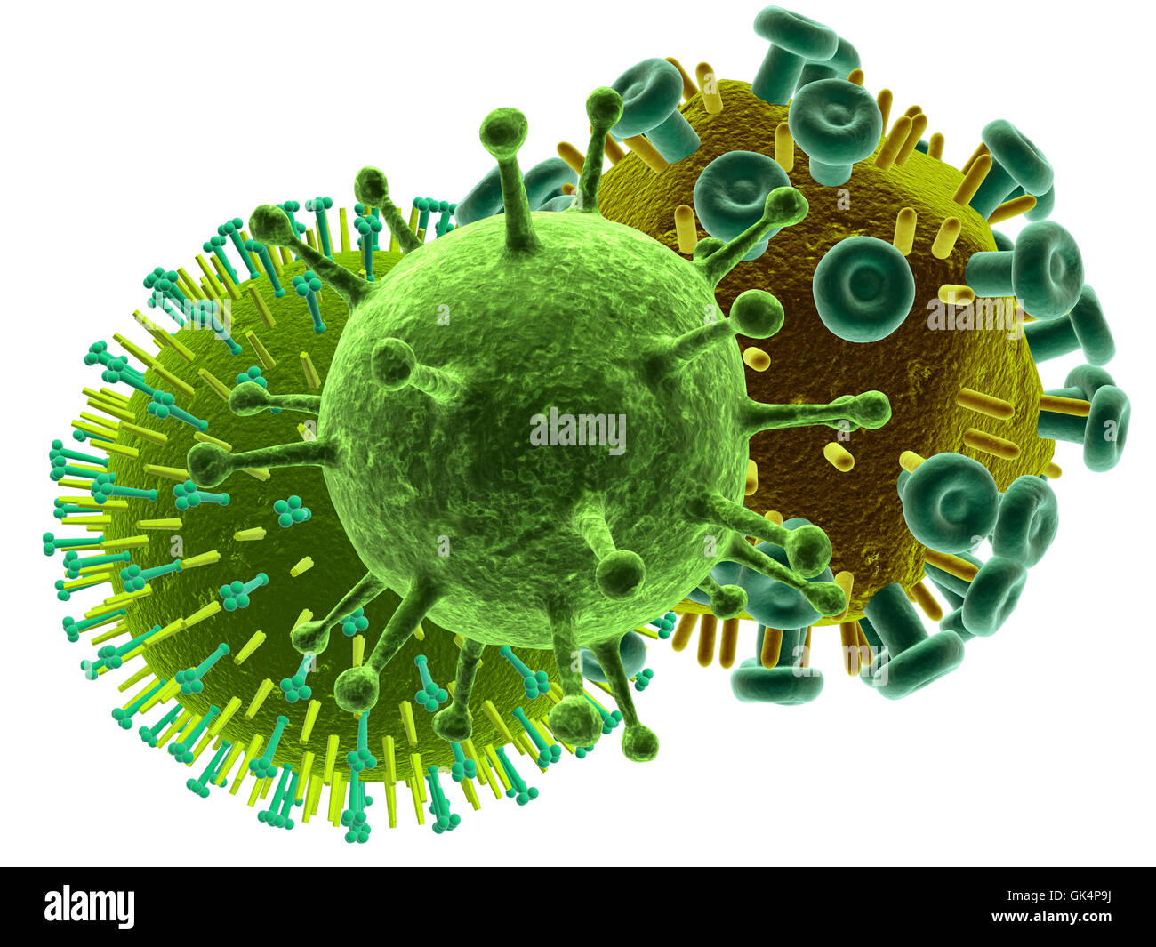 Human cell microscopic Cut Out Stock Images & Pictures - Alamy