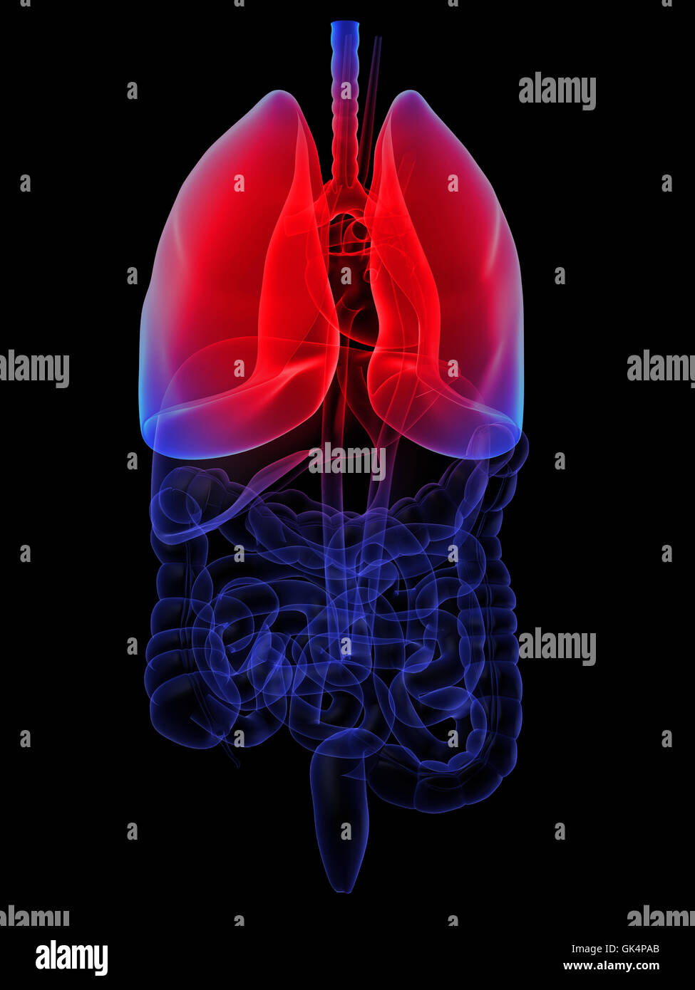 health cold catarrh Stock Photo - Alamy