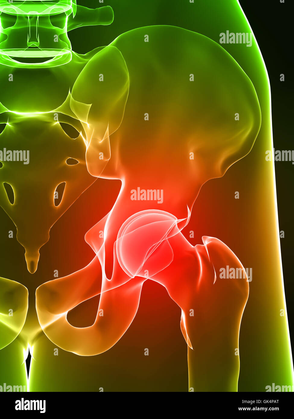 Human carcass hi-res stock photography and images - Alamy