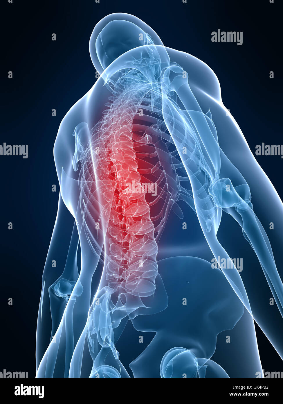 health human human being Stock Photo - Alamy