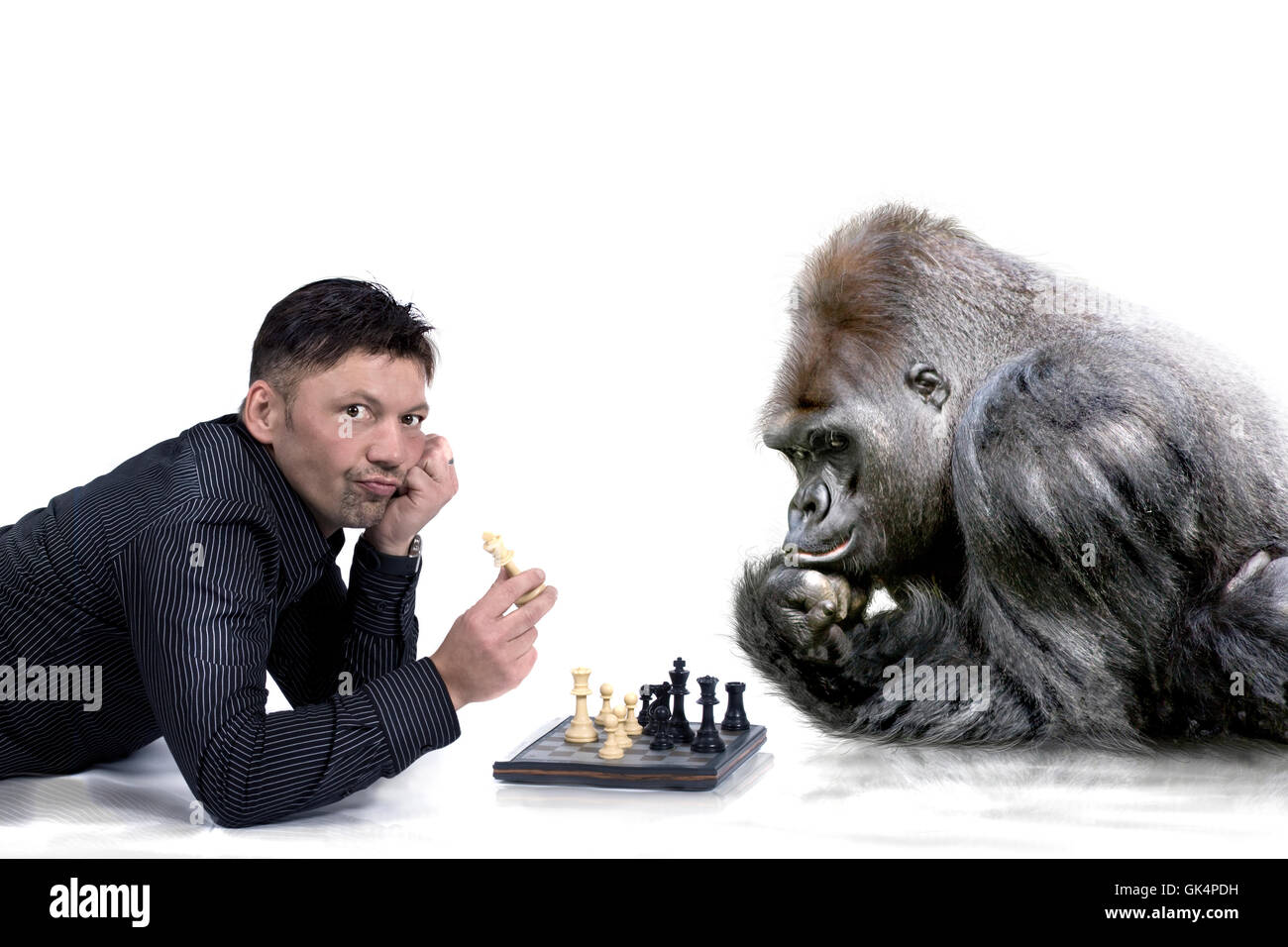 Monkey Playing Chess High Resolution Stock Photography and Images - Alamy