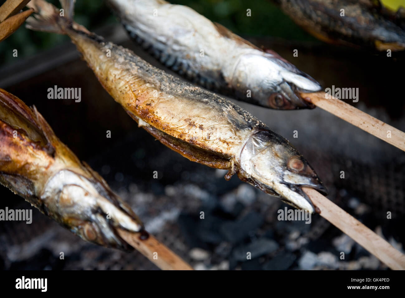 fish Octoberfest grill Stock Photo - Alamy