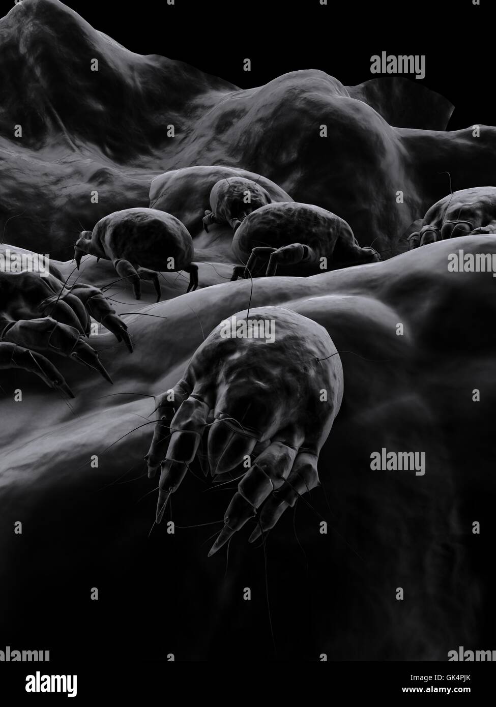 insect dust hygiene Stock Photo - Alamy