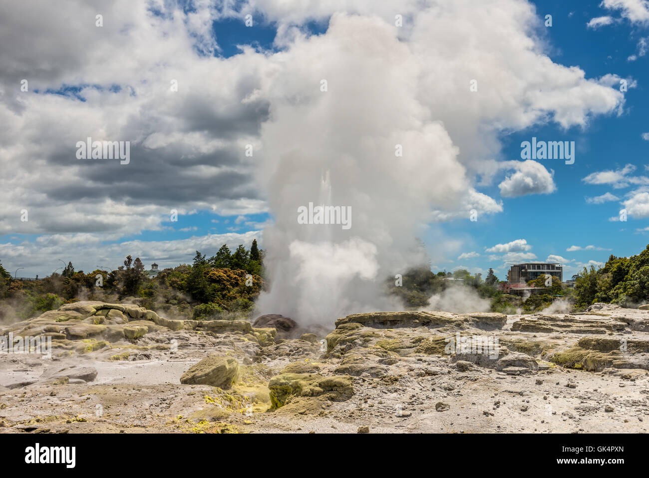 Pohutu Geyser - Rotorua - North Island - New Zealand Stock Photo - Alamy