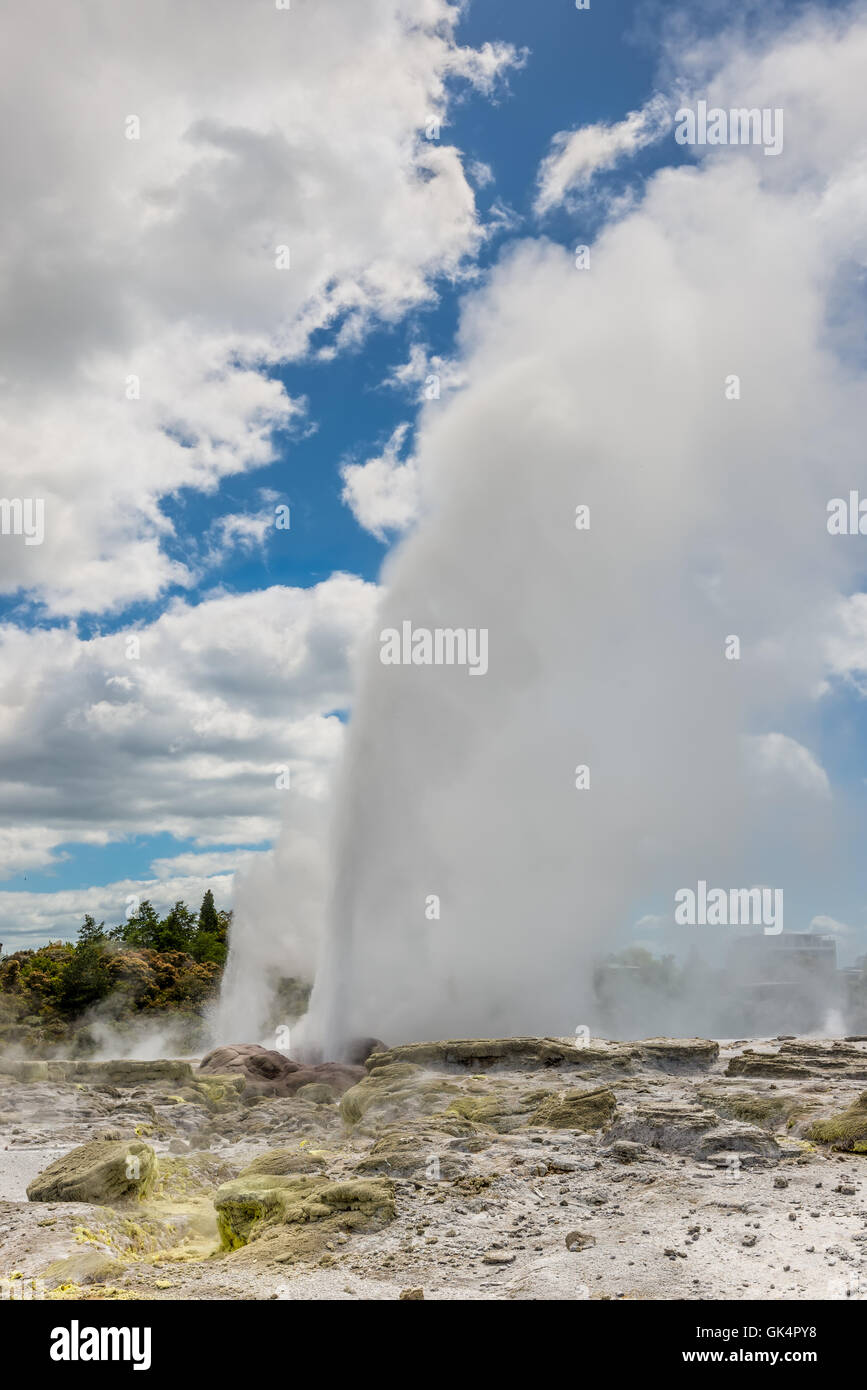 Pohutu Geyser - Rotorua - North Island - New Zealand Stock Photo - Alamy