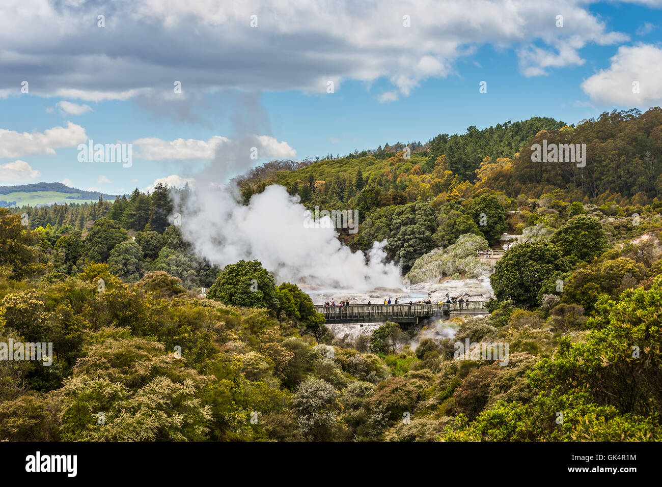 People watching Pohutu Geyser in Rotorua, New Zealand Stock Photo - Alamy
