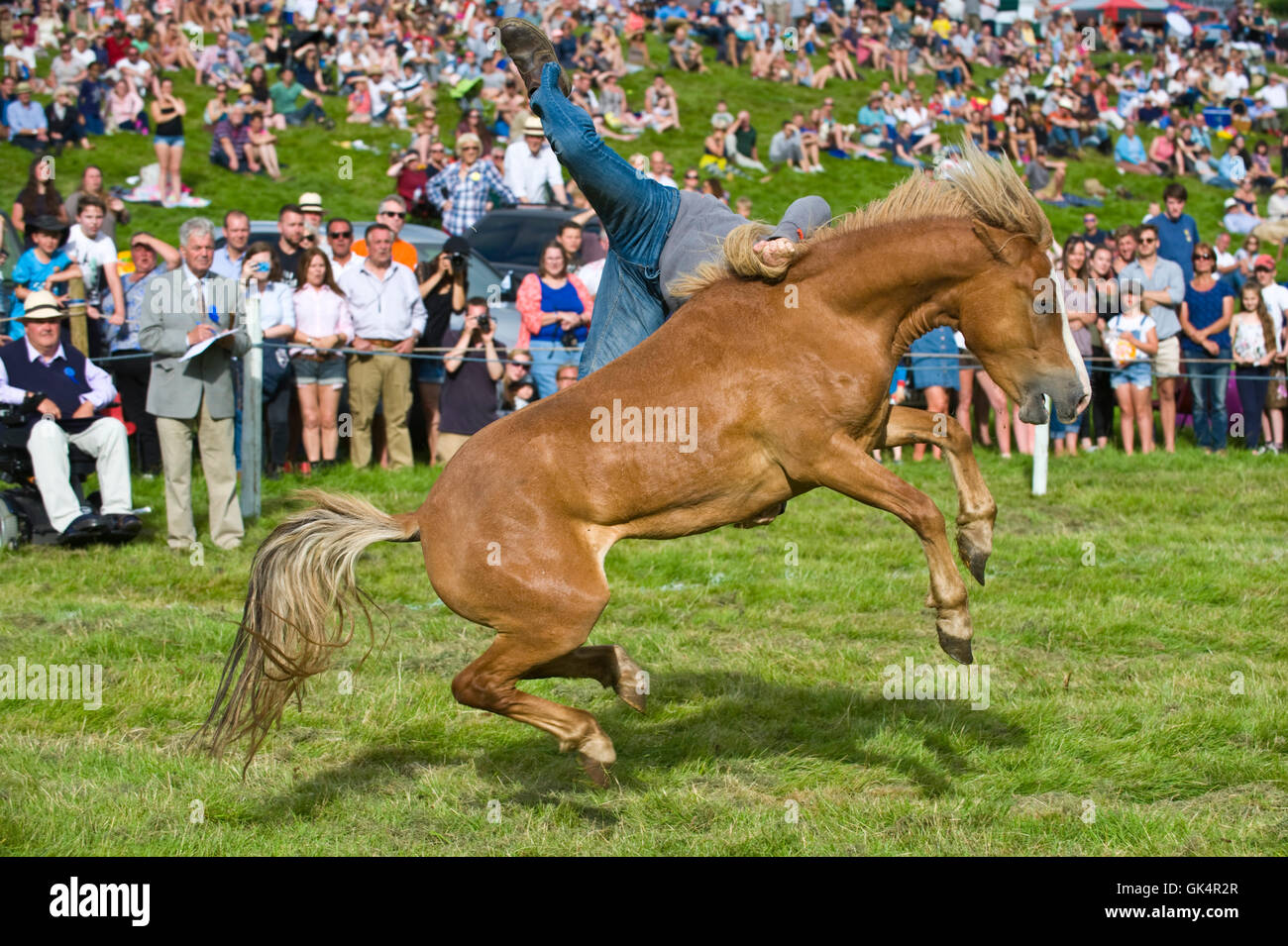 One of the last country shows in the UK to still feature rodeo riding ...