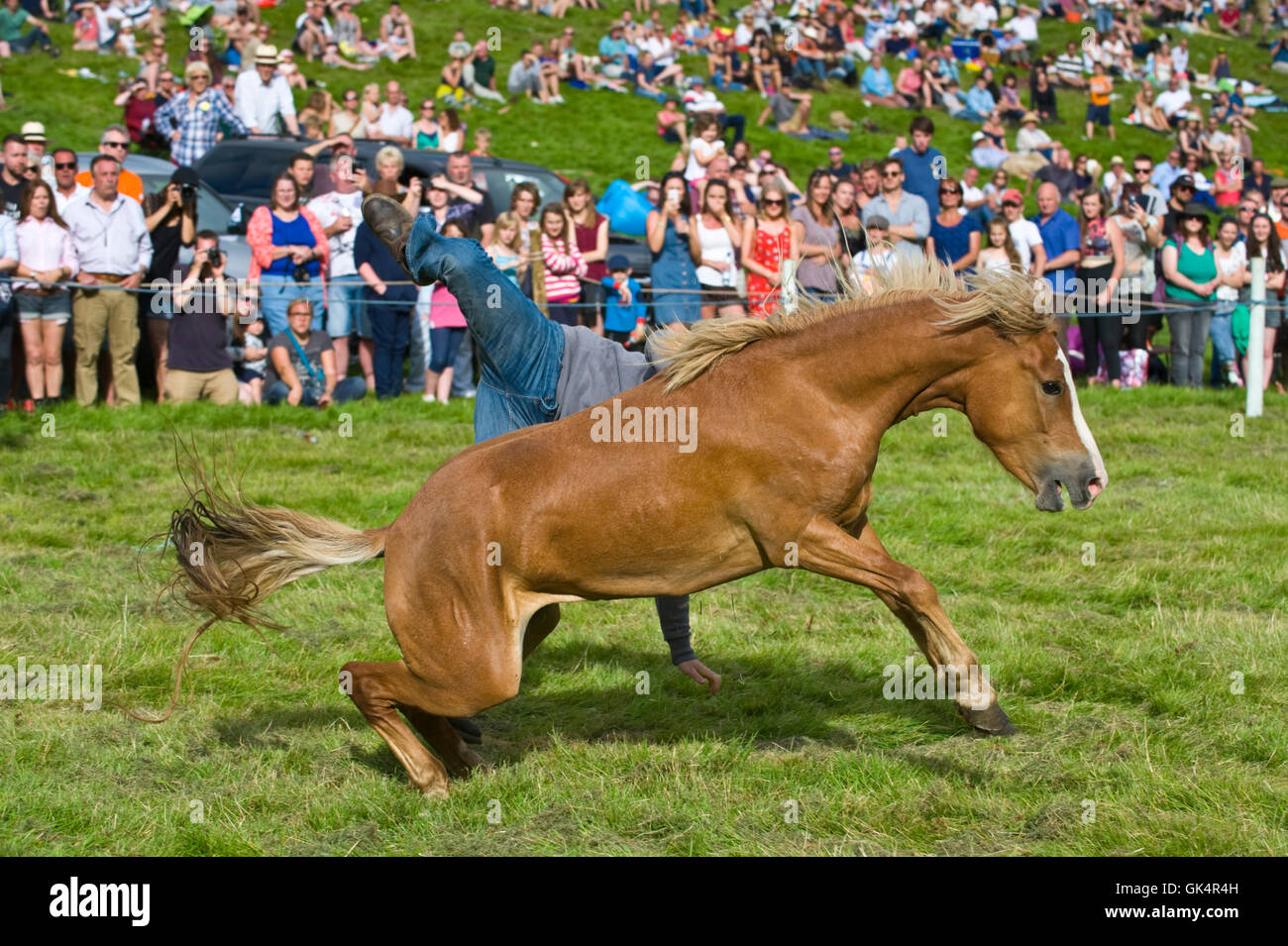 One of the last country shows in the UK to still feature rodeo riding ...